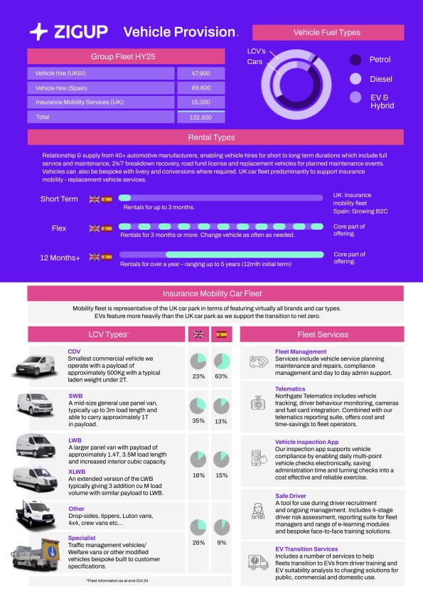Our businesses - ZIGUP plc